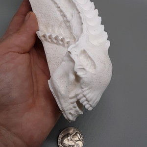 Alien Skull Resin Statue, Alien, Skull, Statue, Resin - Etsy