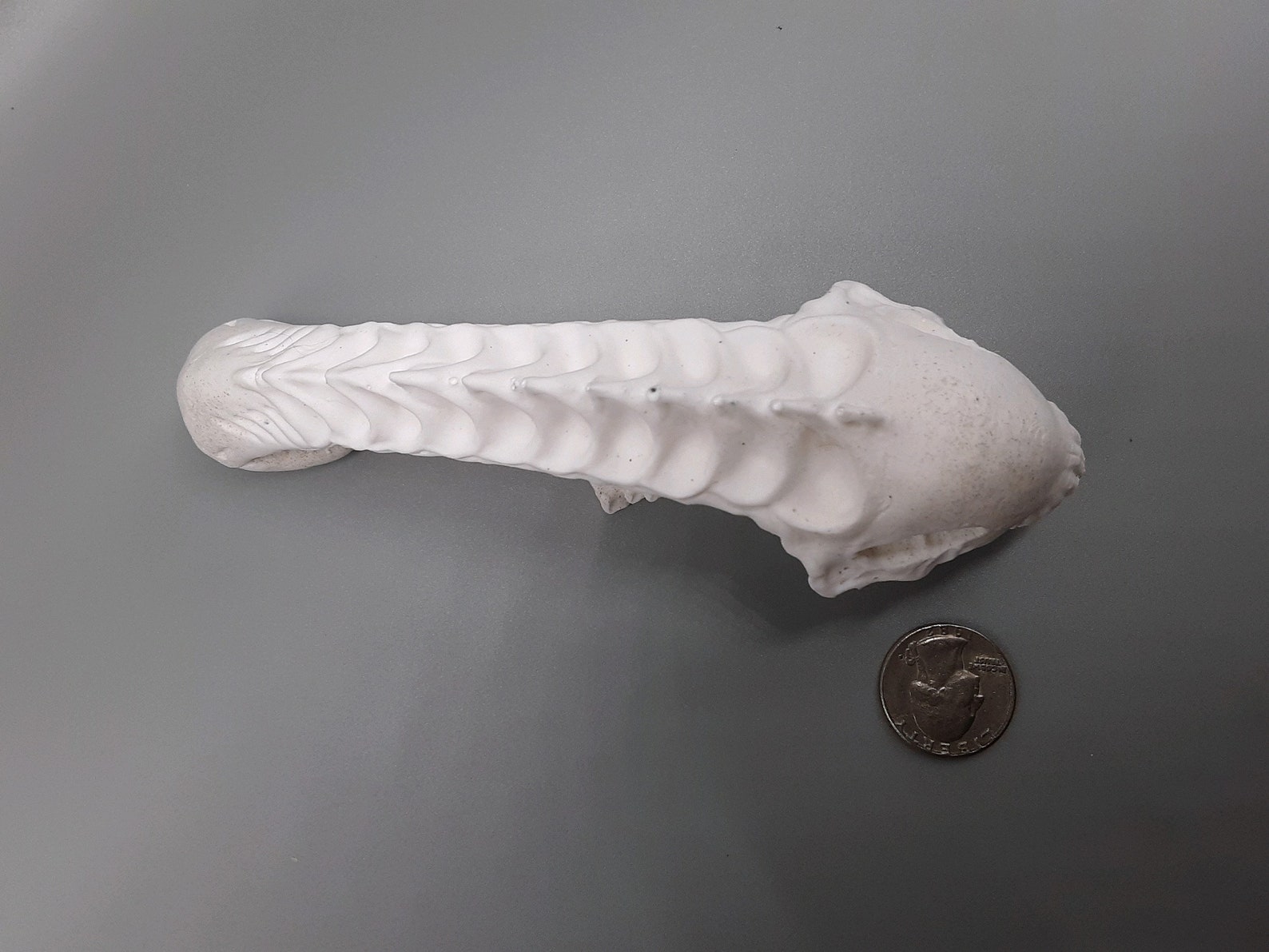 Alien Skull Resin Statue, Alien, Skull, Statue, Resin - Etsy