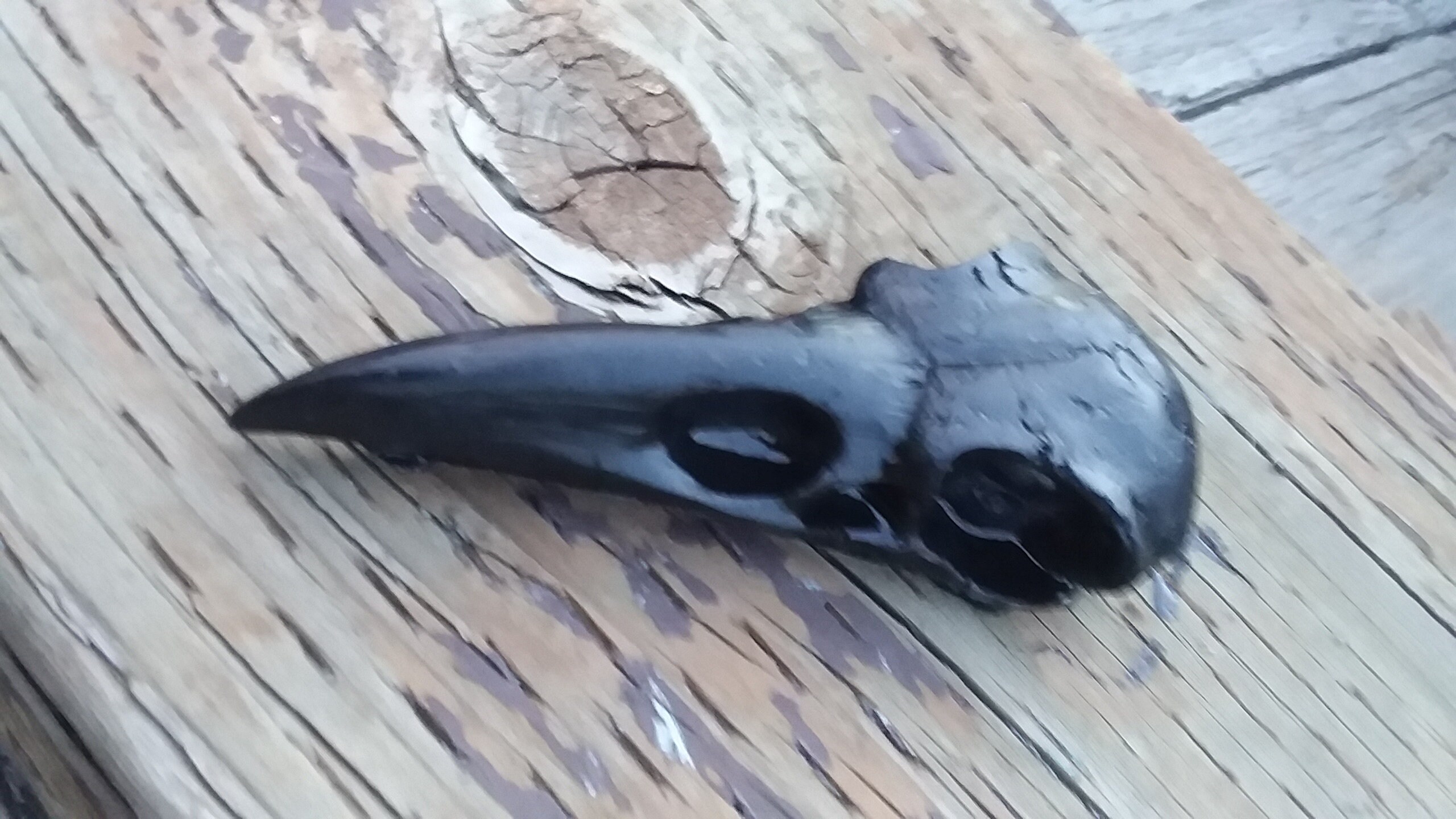 Crow Skull Resin Statue Resin Statue Home Decor Crows - Etsy