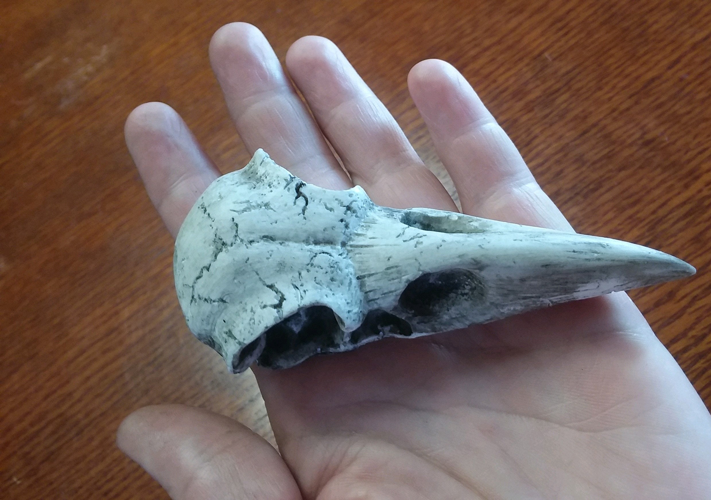 Hand Mixed Resin Crow Skull Statue: Gothic Home Decor - Etsy