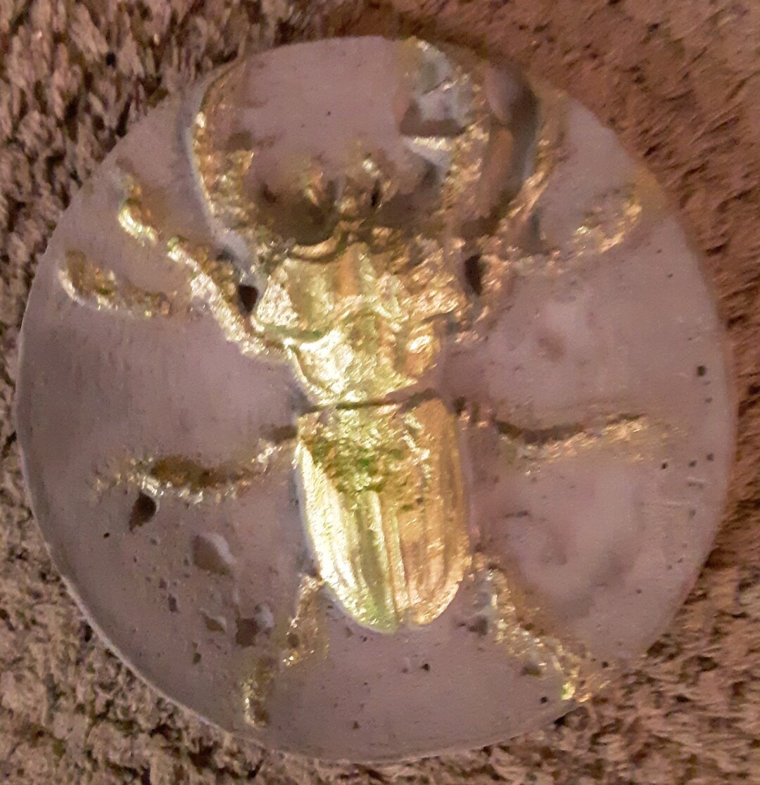 Beetle Round Medallion Concrete Statue or Wall Hanging, Concrete, Bug ...