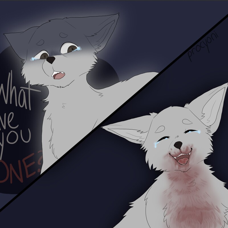 Furry Drawing Bases - Etsy