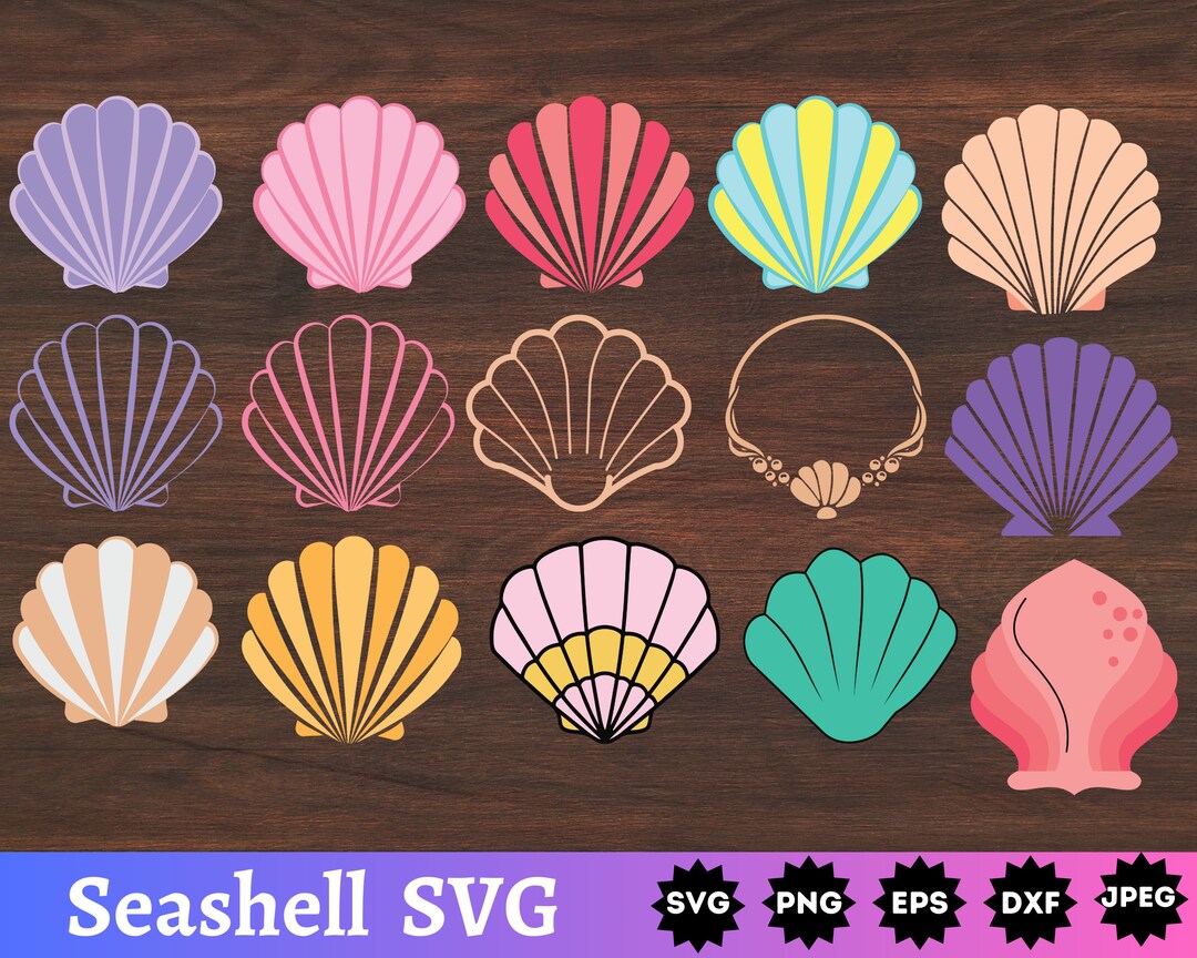 Seashell SVG / Seashell Outline / Beach SVG / Decoración costera ...
