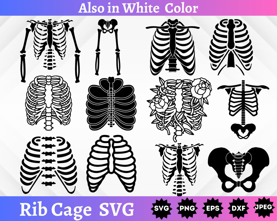 Rib Cage SVG Skeleton SVG Halloween Rib Cage SVG Skeleton Bones Human ...