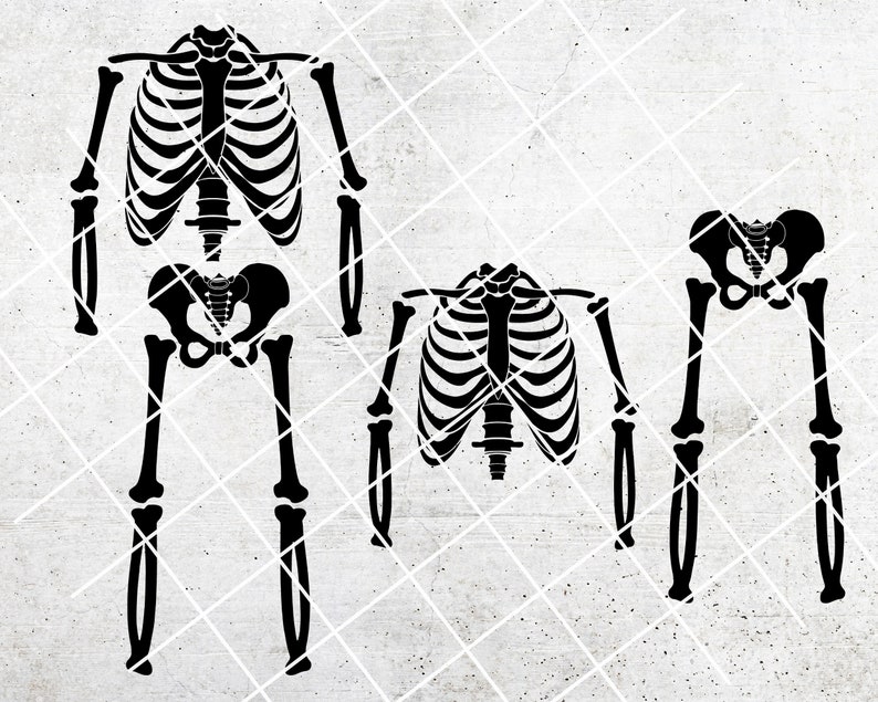 Halloween Skeleton SVG Skeleton Bones SVG Rib Cage SVG Halloween ...