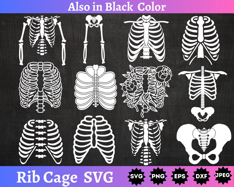 Skeleton SVG Halloween SVG Rib Cage SVG Skeleton Bone Svg Skeleton ...