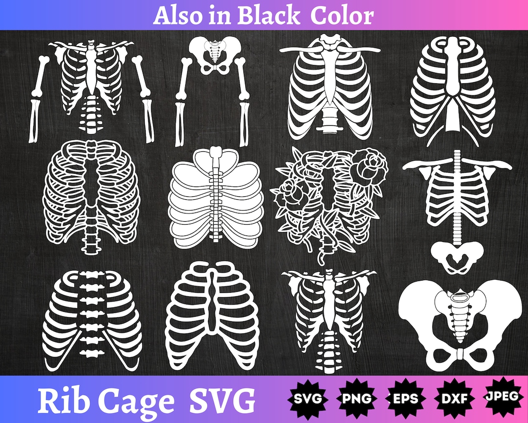 Rib Cage SVG Skeleton SVG Halloween Rib Cage SVG - Etsy