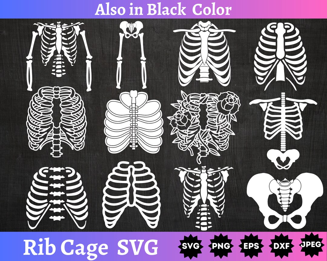 Rib Cage SVG Skeleton SVG Halloween Rib Cage SVG Skeleton Bones Human ...