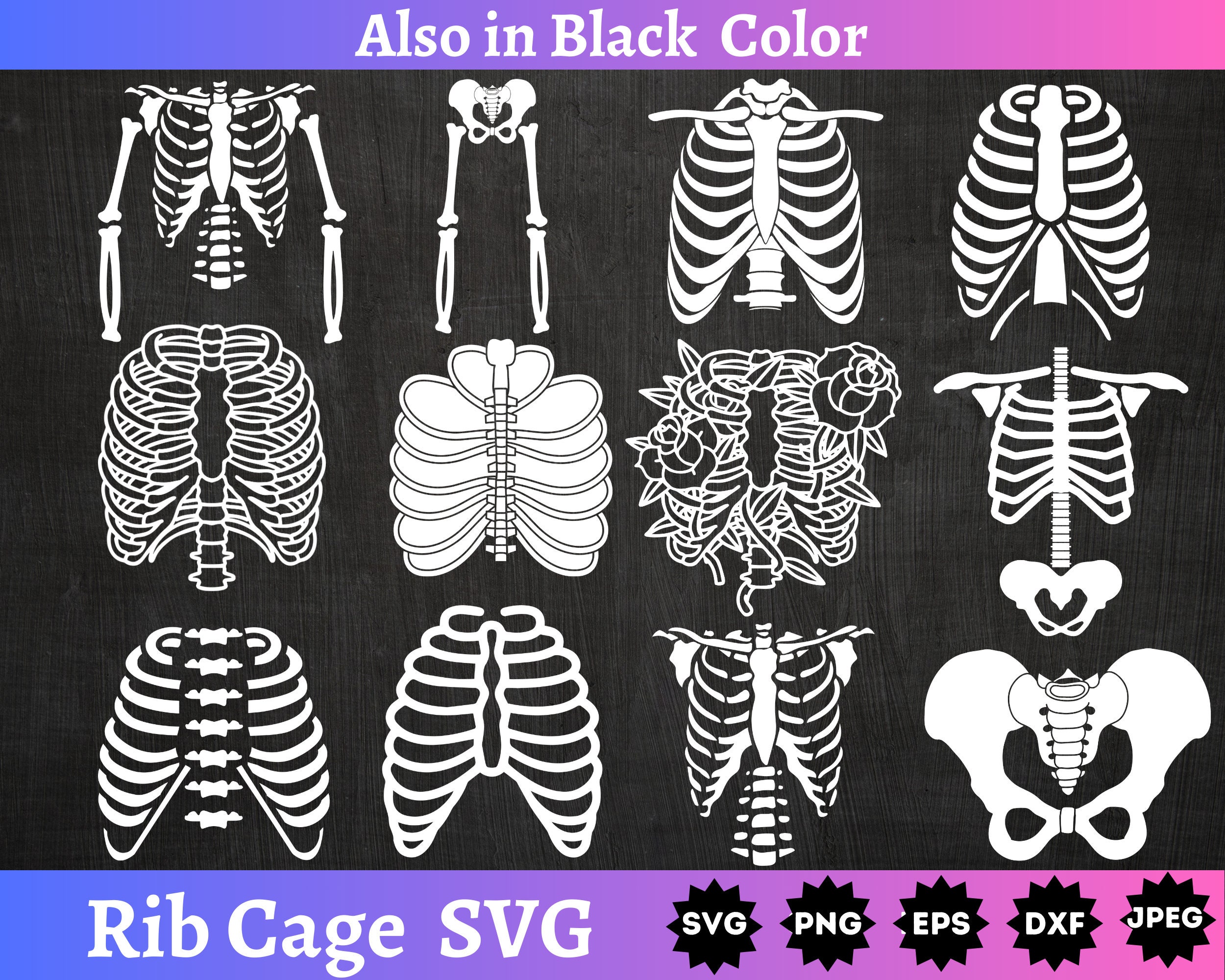 Rib Cage SVG Skeleton SVG Halloween Rib Cage SVG Skeleton Bones Human ...