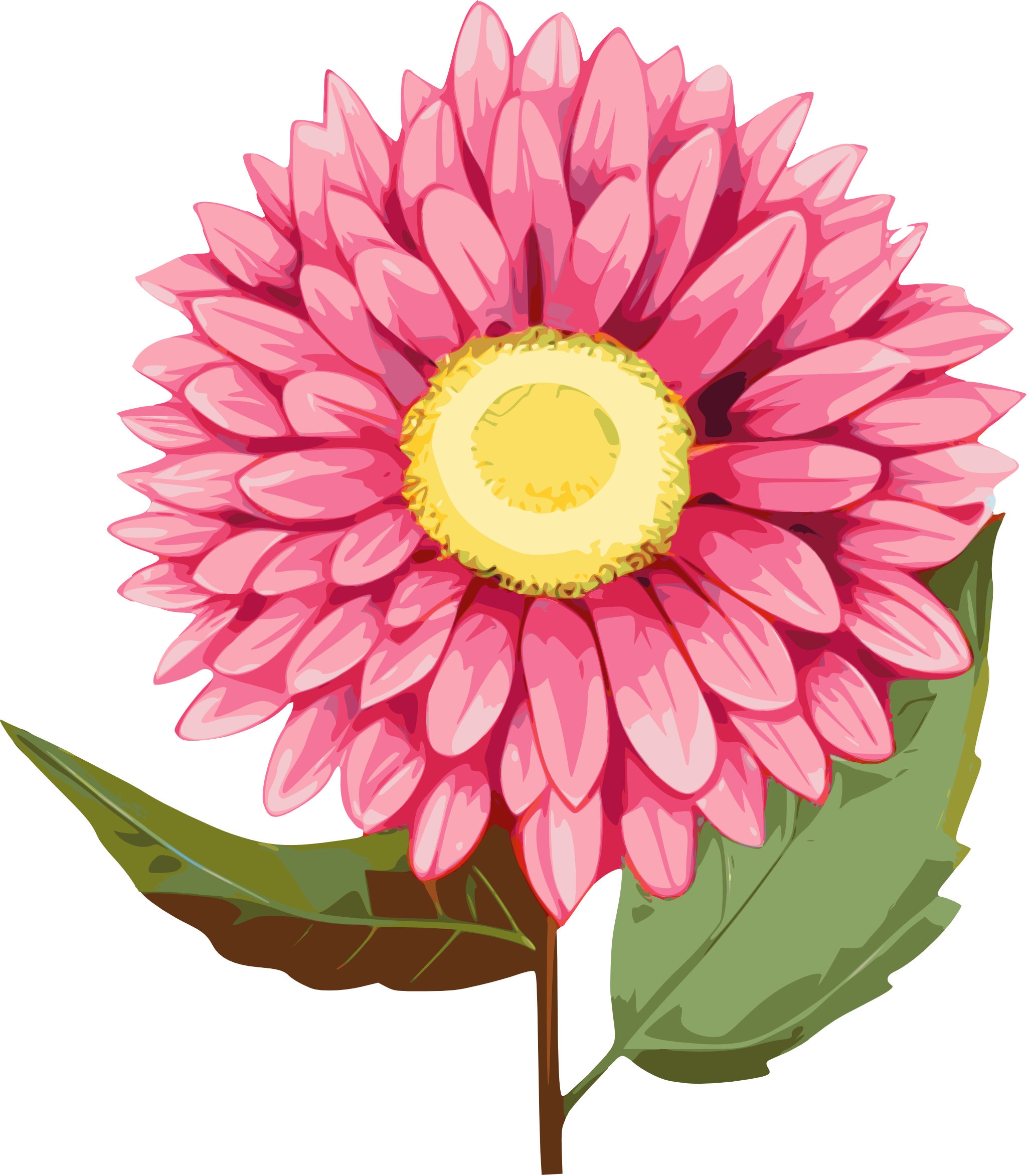 Flowers SVG Bundle Set / Bundle of 9 SVG Files - Etsy