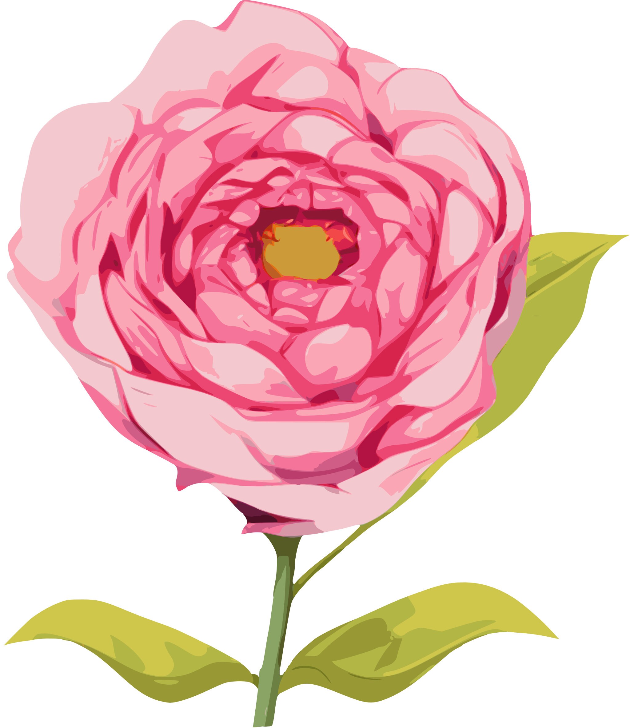 Flowers SVG Bundle Set / Bundle of 9 SVG Files - Etsy