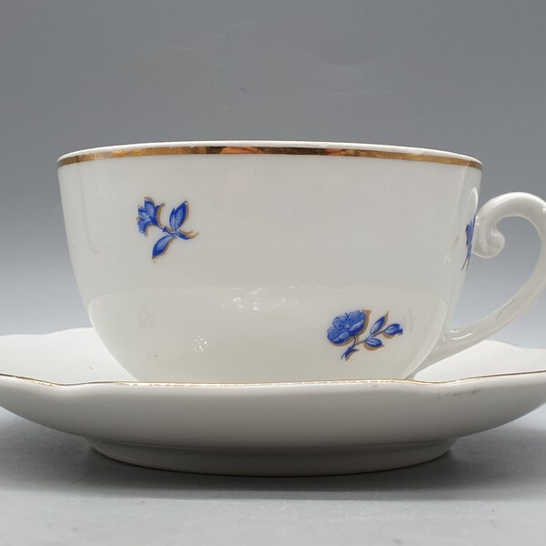 Czechoslovakia Vintage Teacup and Saucer - Etsy