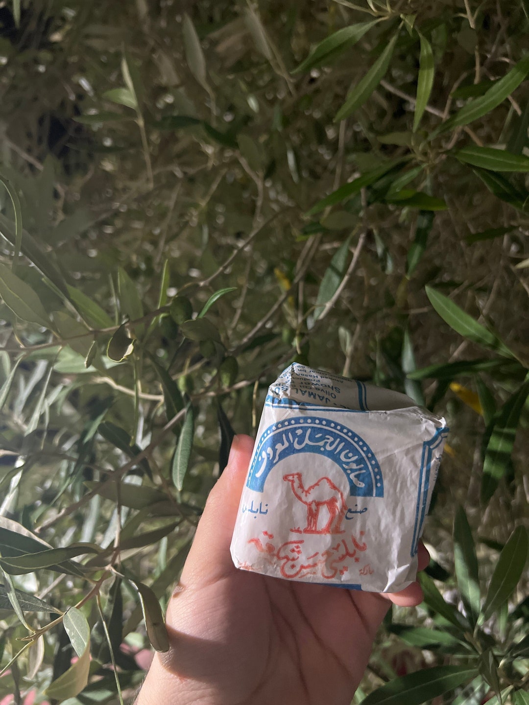 Al-jamal Palestinian Olive Oil Soap, Handmade in Nablus Palestine - Etsy