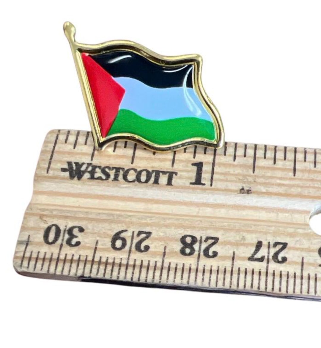 Palestine Flag Pin - Etsy