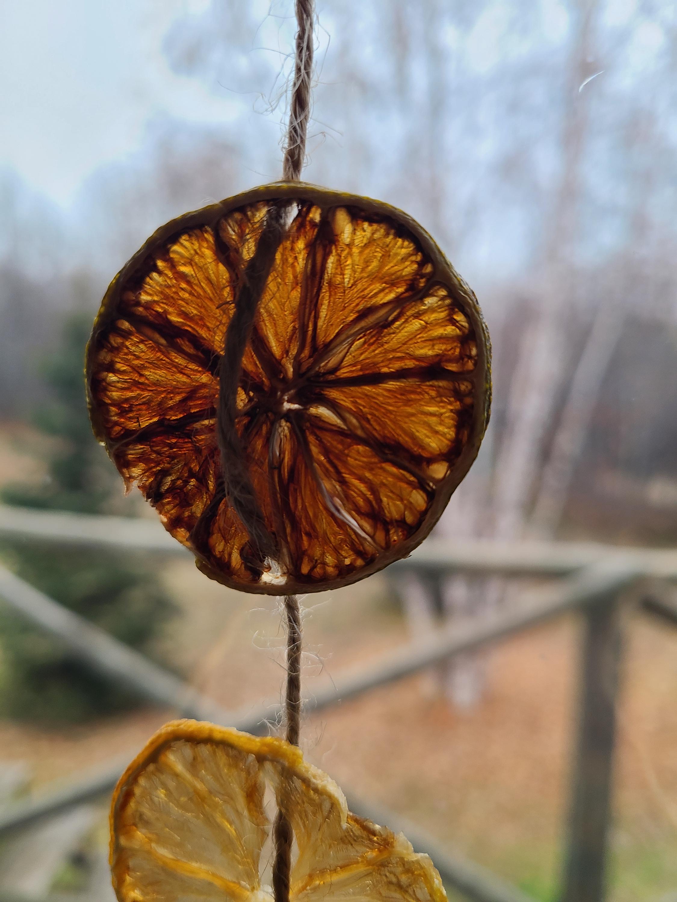 All Natural Dried Citrus Suncatcher, Witchy Wall Hang - Etsy