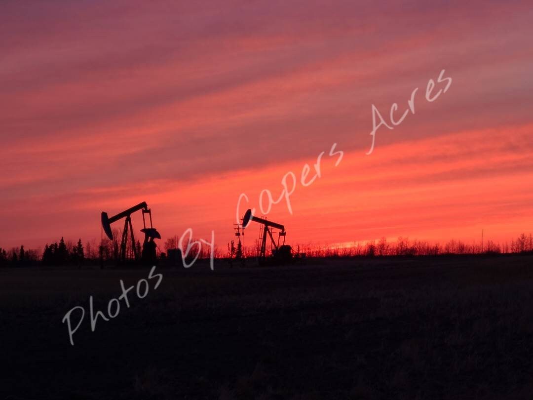 Sunrise Pump Jack Alberta, Digital Photo, Sunset Portrait - Etsy