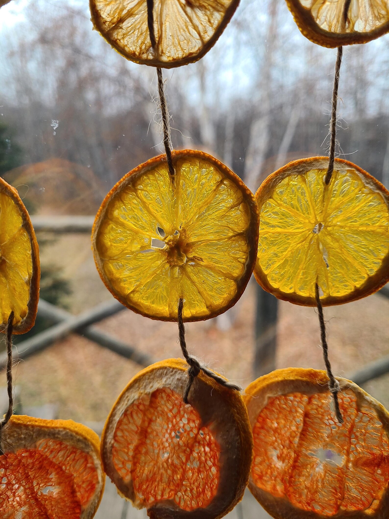 All Natural Dried Citrus Suncatcher, Witchy Wall Hang - Etsy