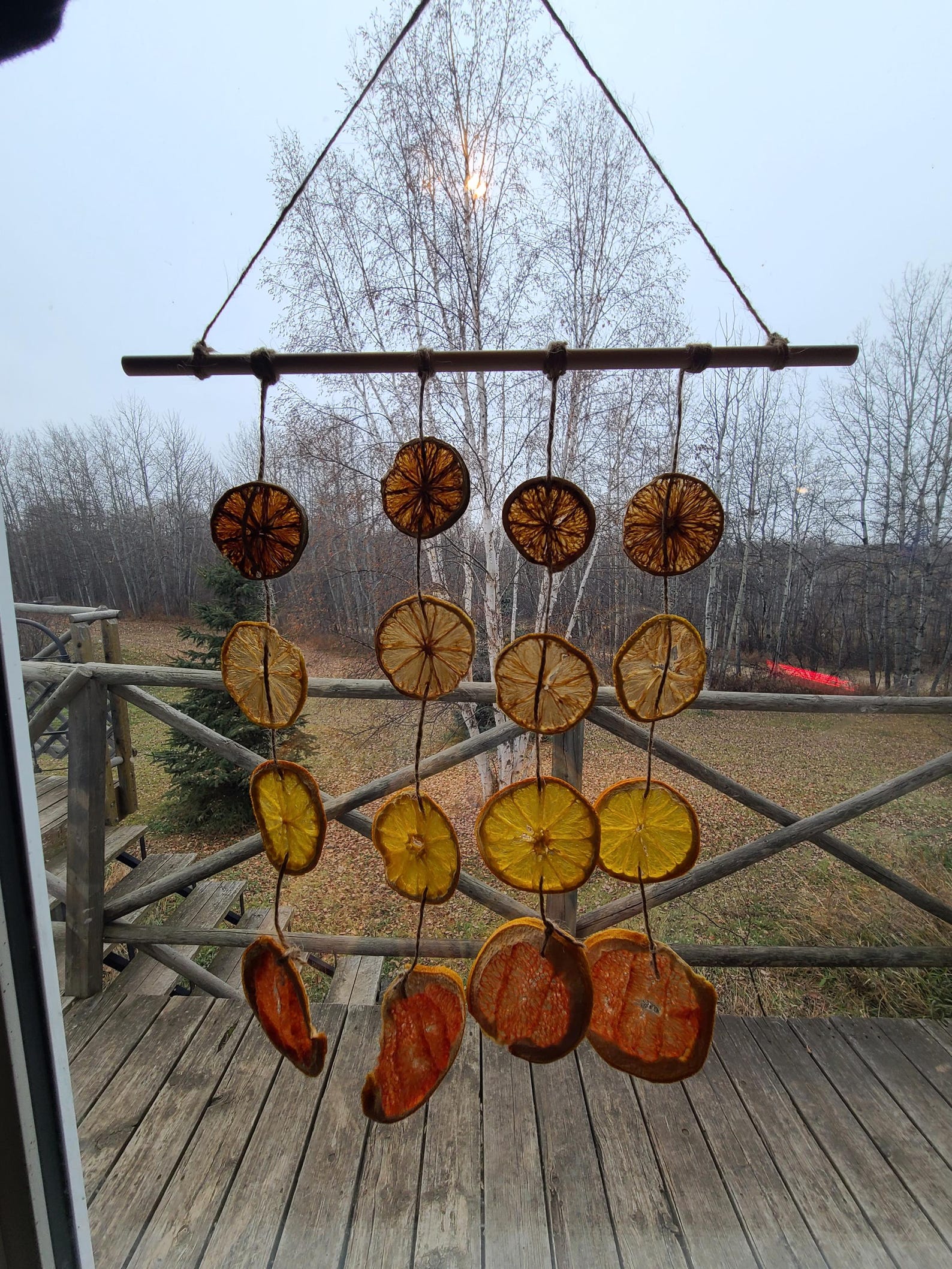 All Natural Dried Citrus Suncatcher, Witchy Wall Hang - Etsy