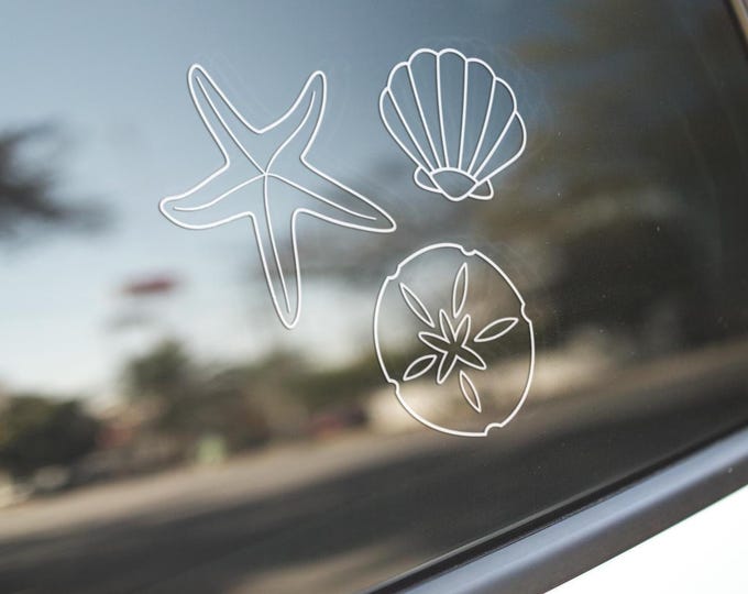 SEA SHELLS, Vinyl Wall Decals, Vinyl Wall Quotes, Family Wall Decal ...