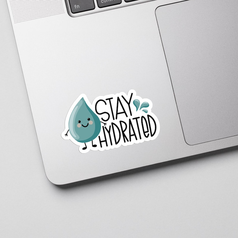 Stay Hydrated Decals - Etsy