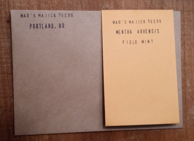 Native Mint mentha Arvensis Seeds 100 Count Seed Packet - Etsy
