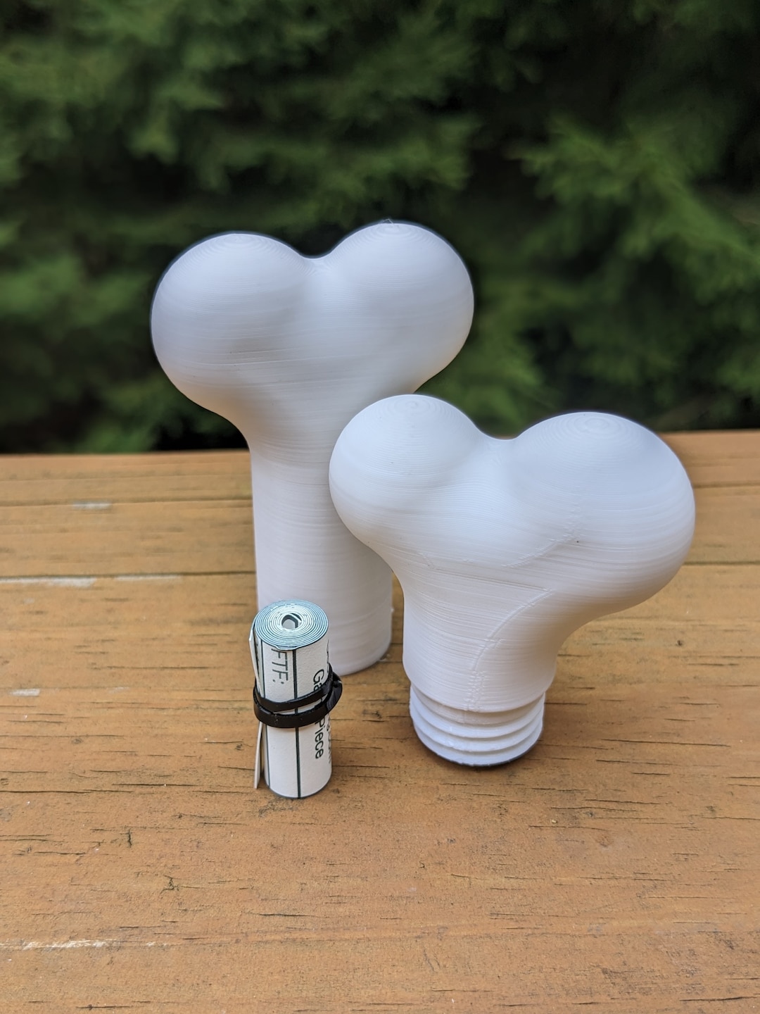 Dog Bone Geocache Container Ready to Hide Waterproof Log - Etsy