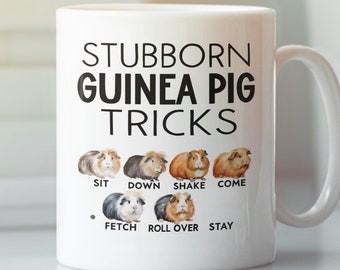 guinea pig does tricks