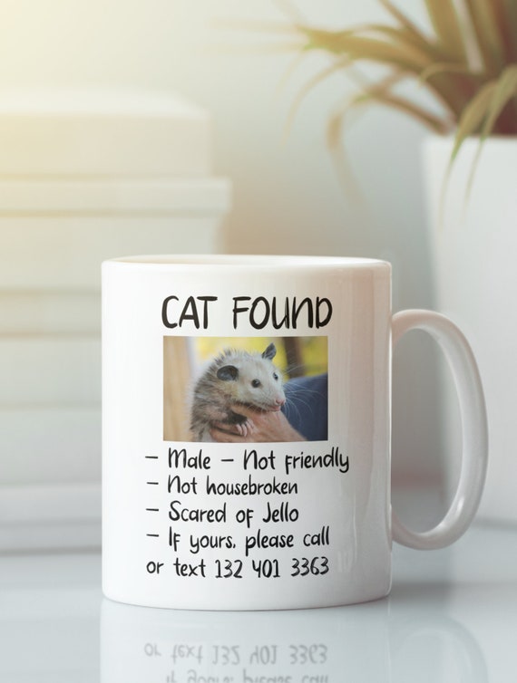 Lost Cat Opossum