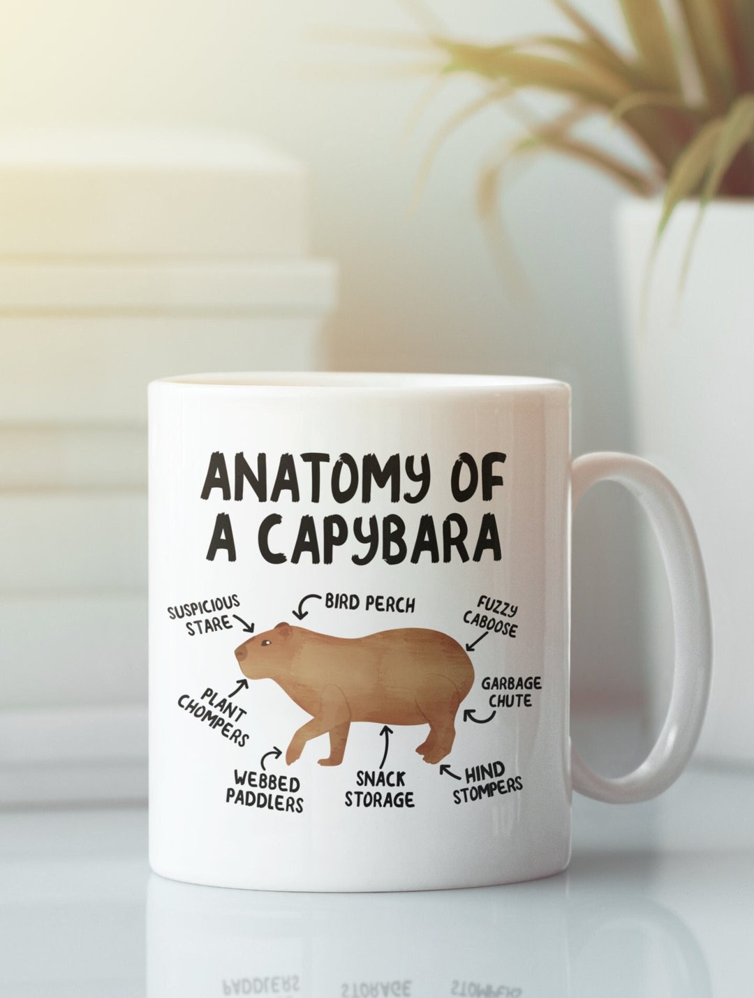 Anatomy of a Capybara, Capybara Mug, Funny Capybara Gifts, Capybara ...