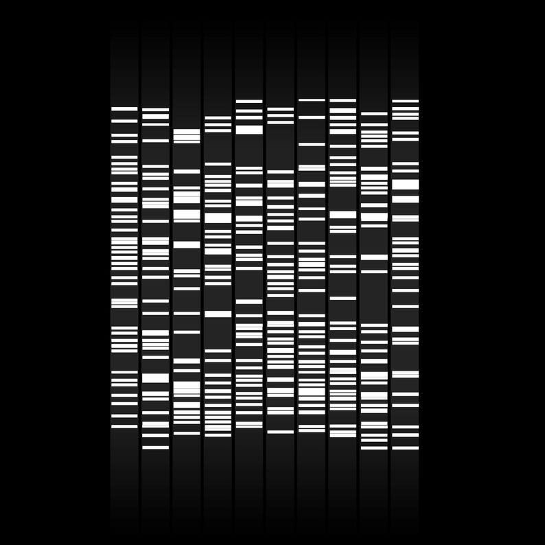 Your Own DNA Electrophoresis Gene Map Visual Poster - Digital Download ...