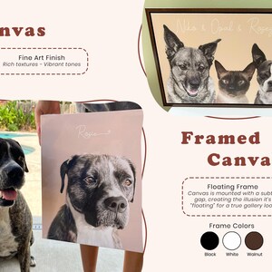 Custom 3 Pets Portrait From Photo | Personalized Multiple Cats & Dogs ...