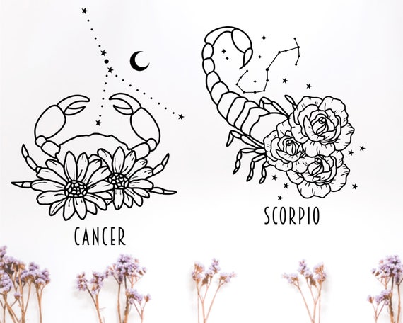 Which zodiac sign is the best at drawing 60 photos - Youhoroscope.com