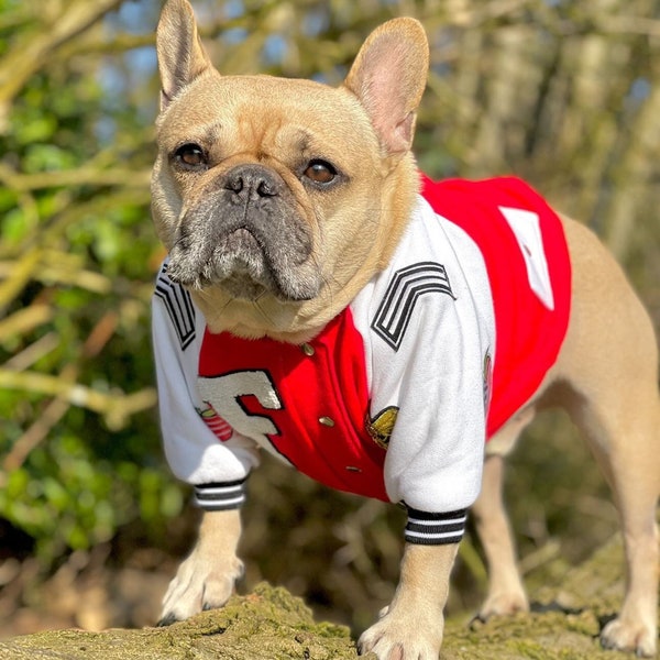 Varsity Jacket Pattern - Etsy