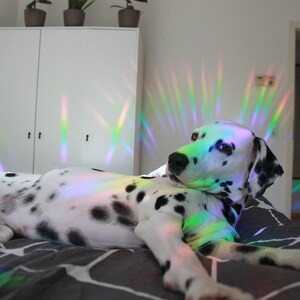 Suncatcher Sticker Set Sparkles Prism Window Sticker Rainbow Effect ...