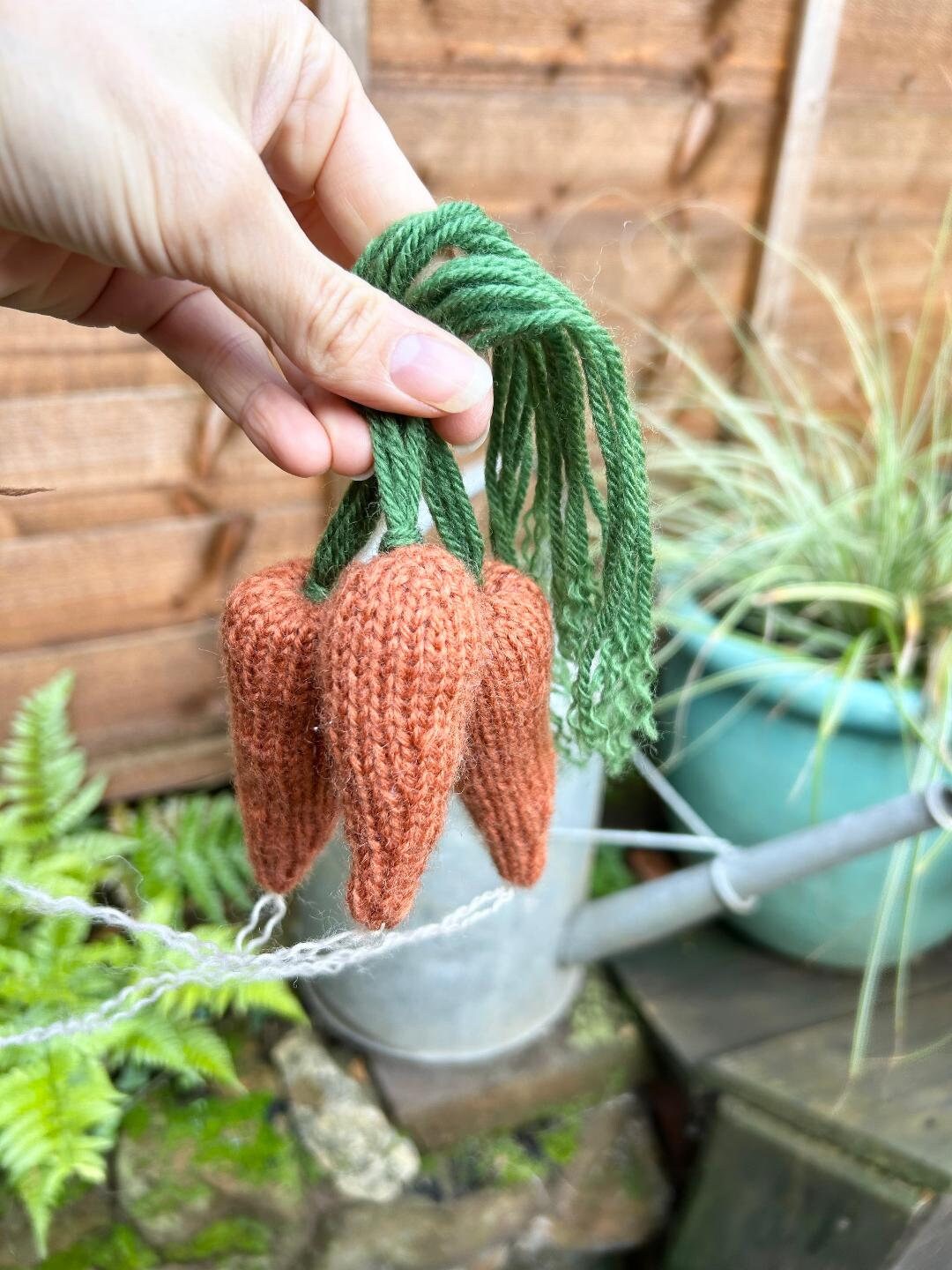Knitted Carrot Pattern, English Pattern Only - Etsy UK