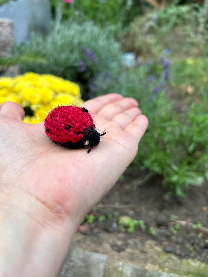 Tiny Knitted Ladybird Ladybird Knitting Pattern - Etsy