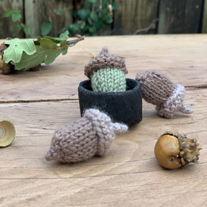 Mini Acorns - Etsy