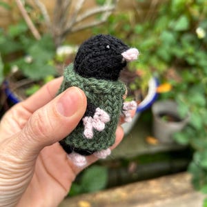 Knitted Mole Pattern, Pattern Only - Etsy