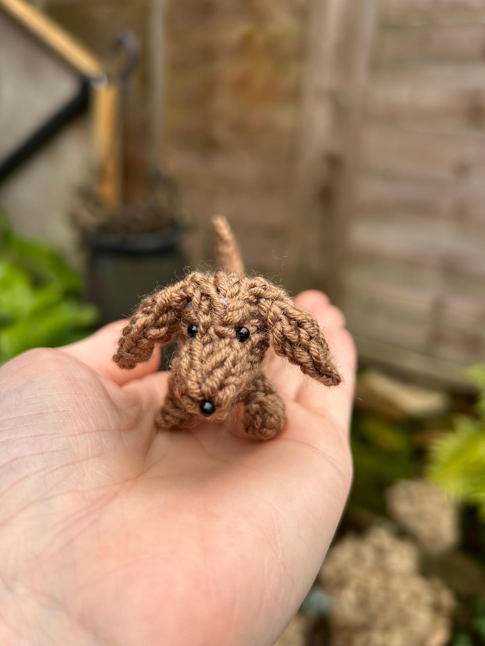 Dachshund Knitting Pattern: Knit Flat (PDF Pattern) - Etsy