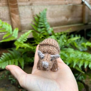 Pattern Only, Triceratops Knitting Pattern, Triceratops, Dinosaur ...