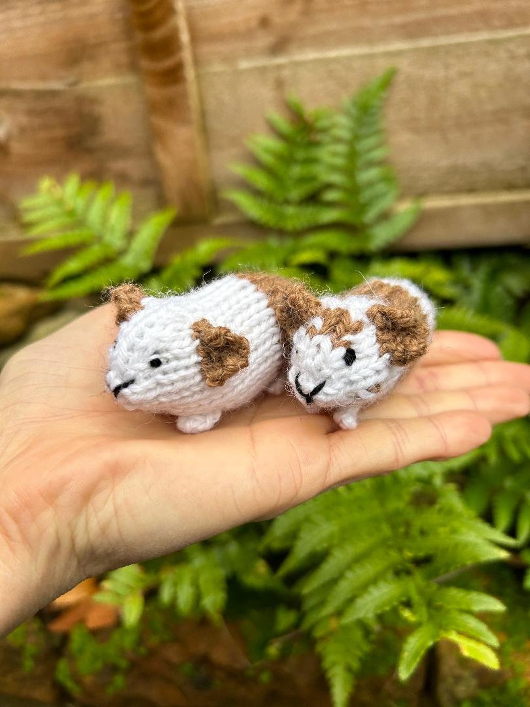 Pattern Only Guinea Pig Knitting Pattern Knitted Guinea Pig - Etsy