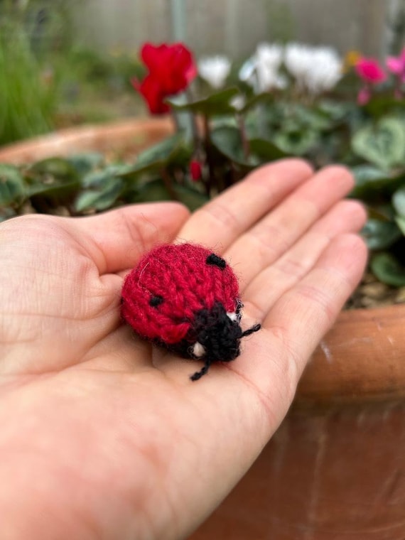 Ladybird Knitting Pattern Toy Honey Bee & Lulu Ladybird 16cm Or 9cm