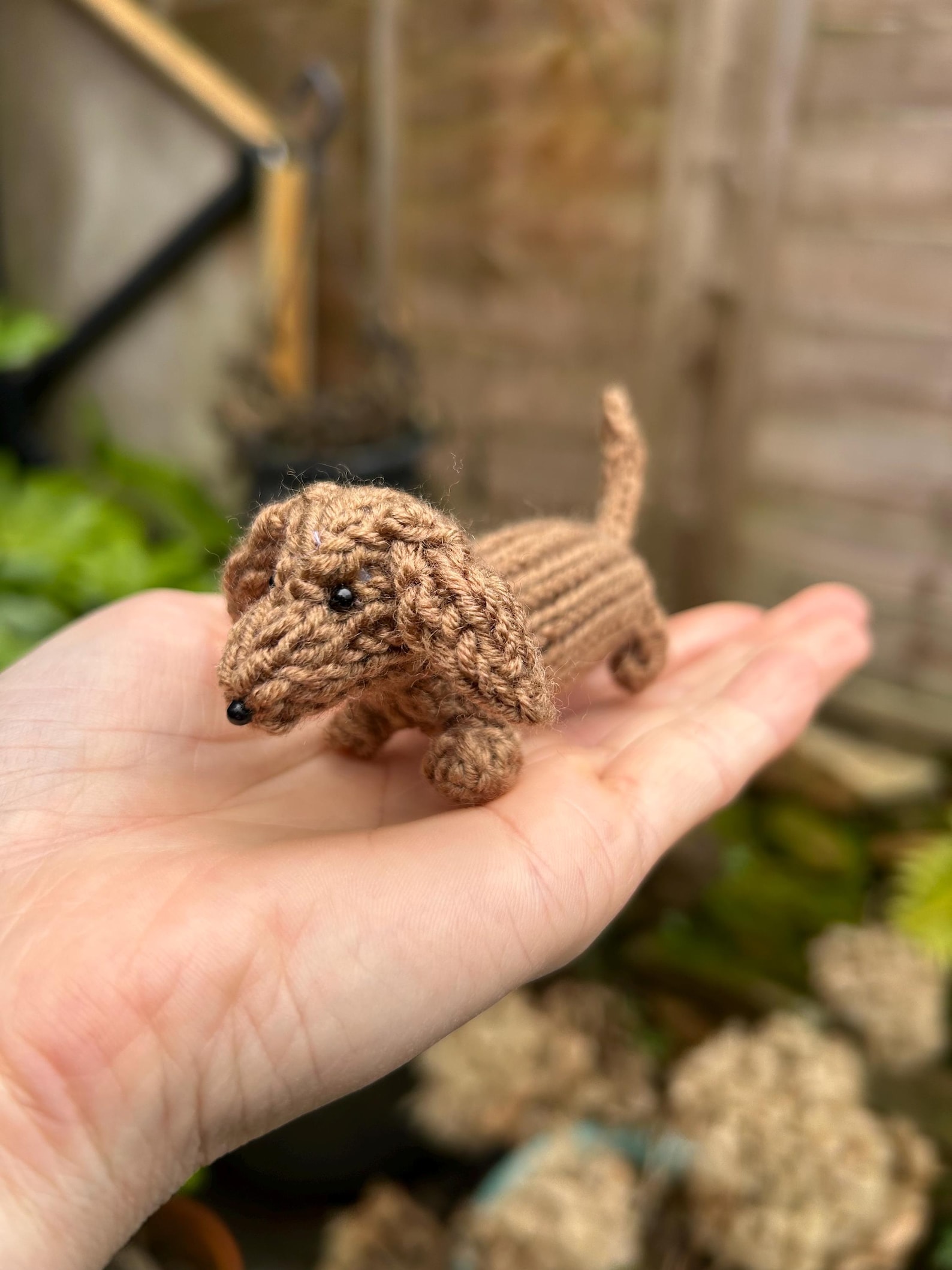 Dachshund Knitting Pattern: Knit Flat (PDF Pattern) - Etsy