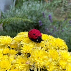 Tiny Knitted Ladybird, Ladybird, Knitting Pattern - Etsy