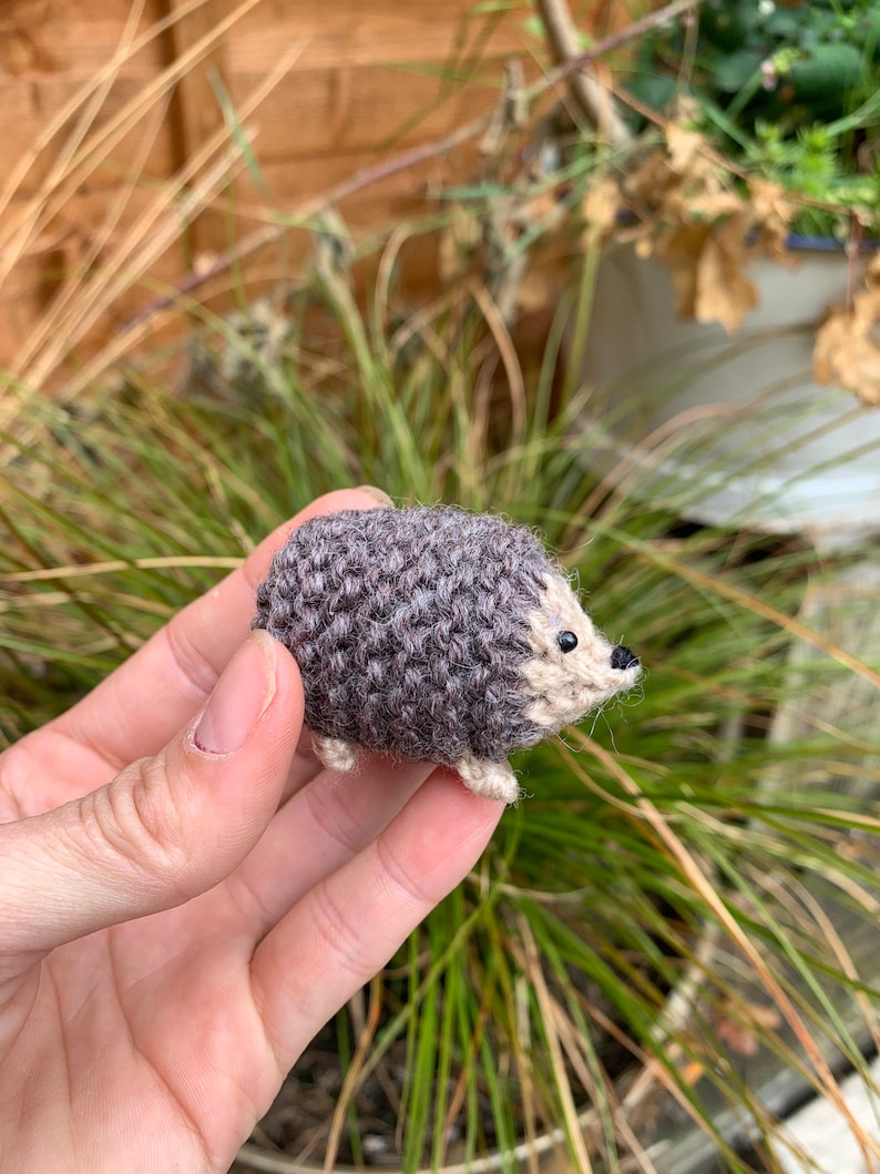 Mini Knitted Hedgehog Pattern, English Pattern Only - Etsy