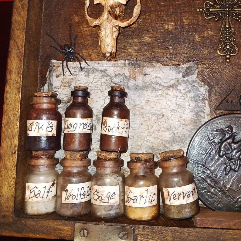 Vampire Hunting Kit Home Edition Limited Edition Volturi - Etsy