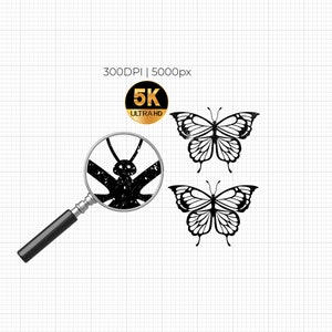 Butterfly SVG PNG PDF | butterfly Svg, Butterfly Png, Butterfly Pdf ...