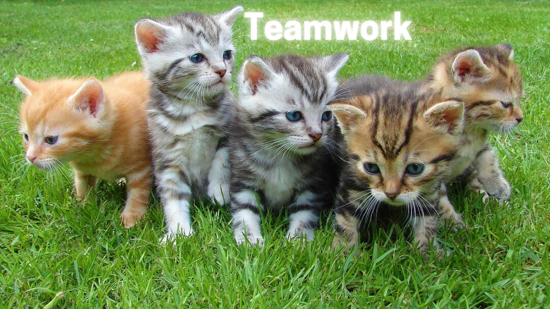 Teamwork Desktop Wallpaper - Etsy