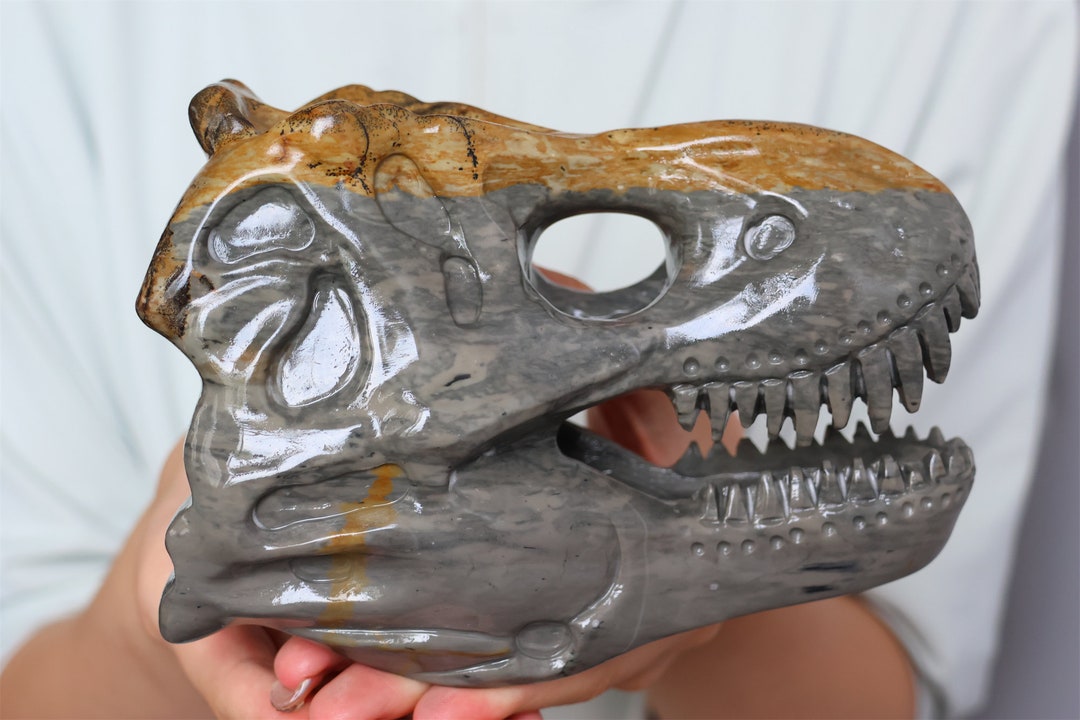 6.8 Natural Picture Stone Carved Dinosaur Skull - Etsy