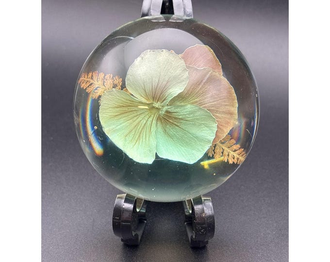 Vintage W. Rolfe Lucite Acrylic Dome Botanical Flower Paperweight 1960s ...